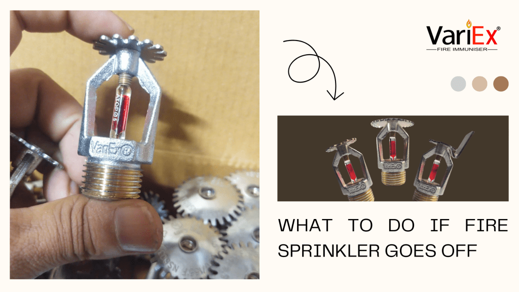What To Do If Fire Sprinkler Goes Off